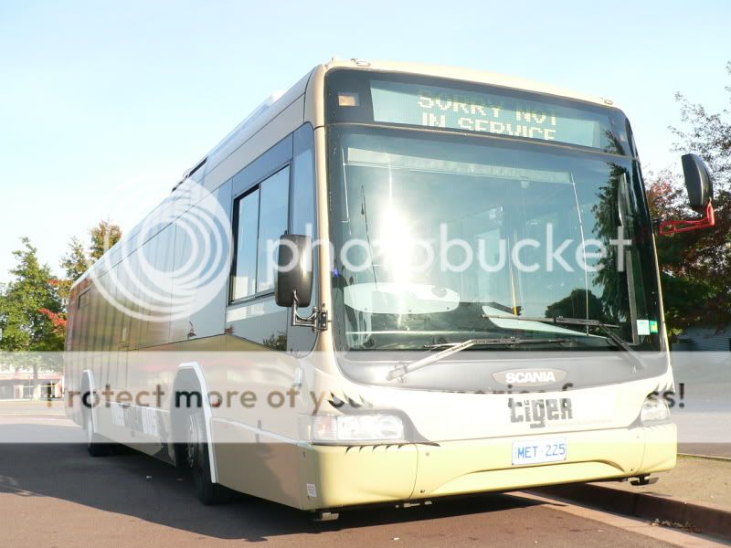 Metro's Tiger Bus