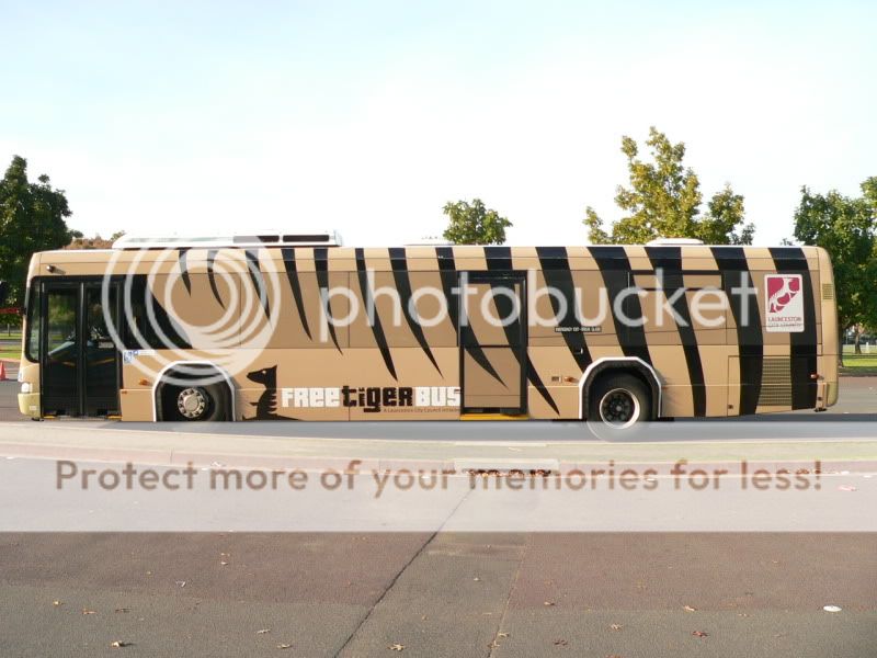 Metro's Tiger Bus