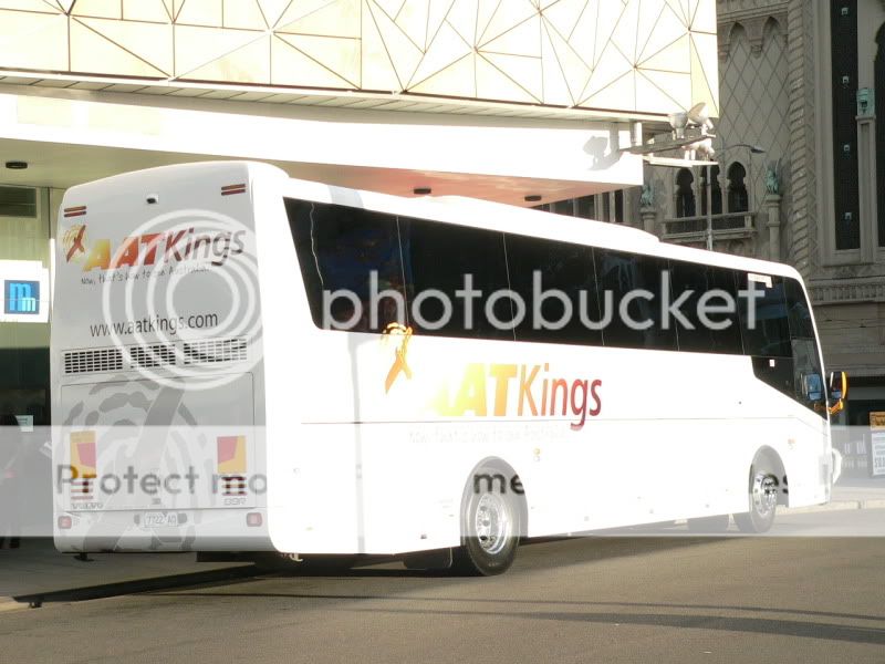 Tassie Perspective #2 COACHES