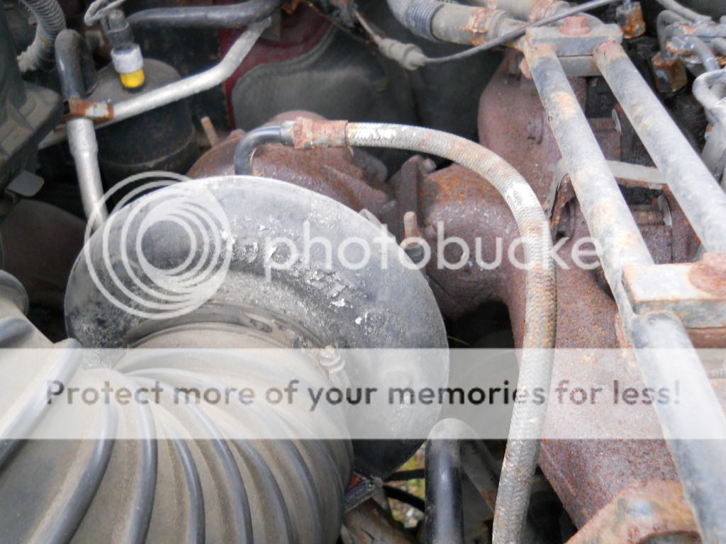 My 1999 Ram V10 to 1994 Cummins 12 Valve Swap Thread | DodgeTalk Forum