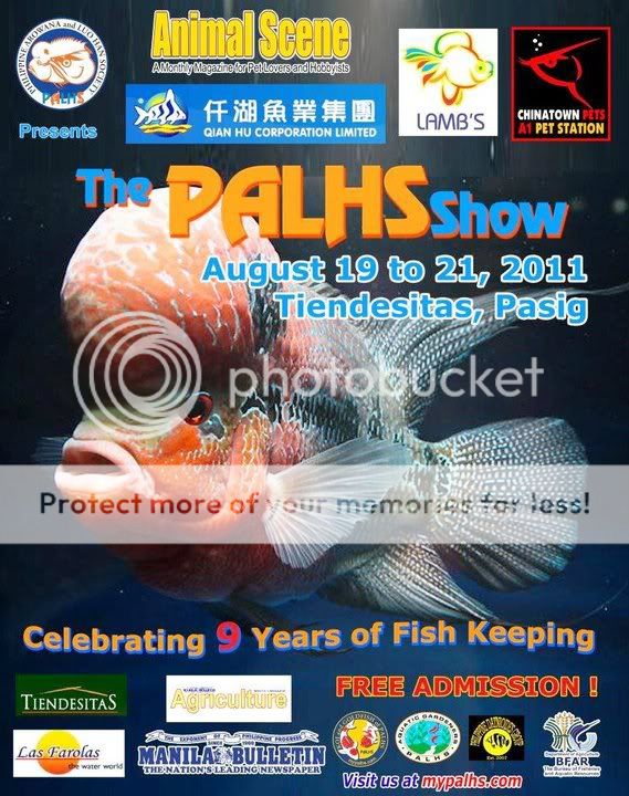 9th Philippine Arowana and Lou Han Society Show | Collectors Connection